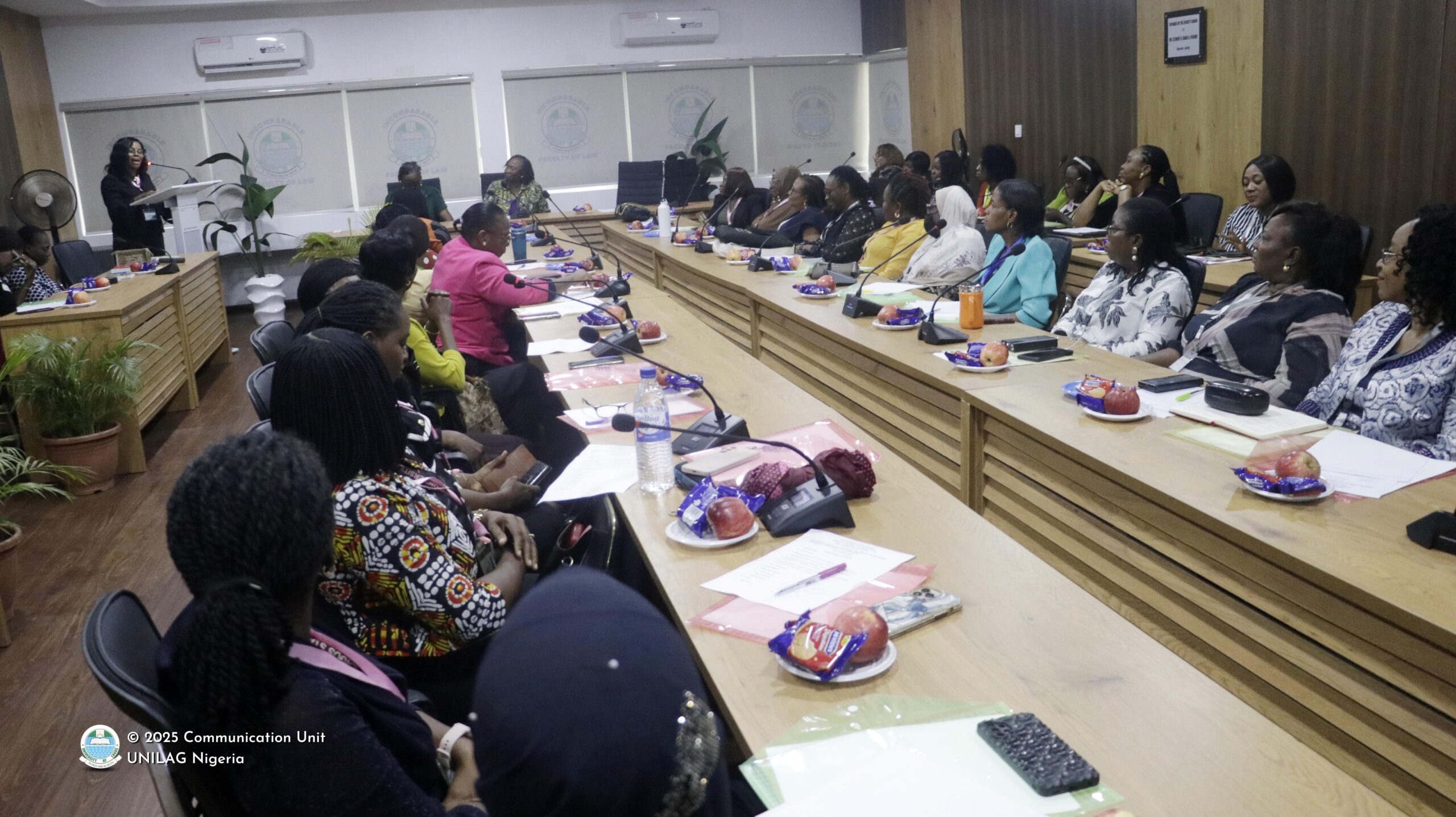 Female Academic Network (FAN) Pre-Launch Roundtable: Building a ...